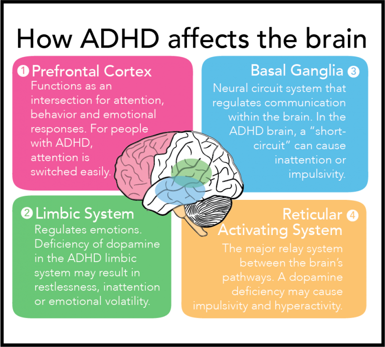 Empower ME What Are The Benefits In Cognitive Development And The